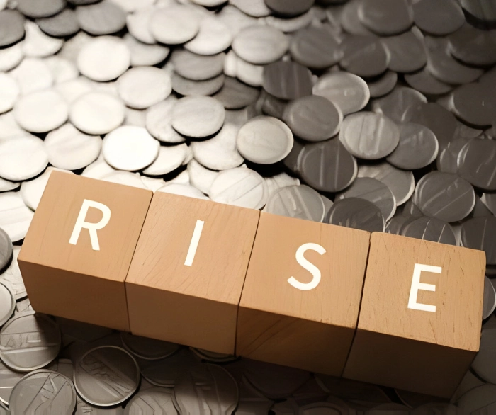 Daystar Payment Company's Strategy to Combat High Processing Fees